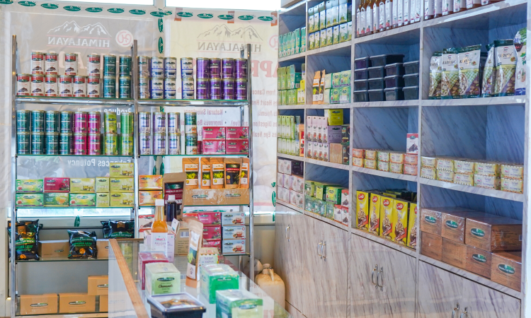 Adventure Resorts-Himachal’s Largest Amusement Park at Kufri | Shimla